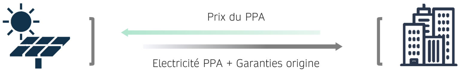 Corporate PPA : maîtrisez votre énergie solaire